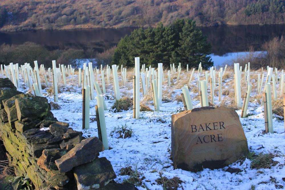 Baker Acre and Baker Stonecote « thebakersofscammonden.co.uk